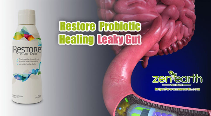 Restore Probiotic healing Leaky Gut - Zen Earth